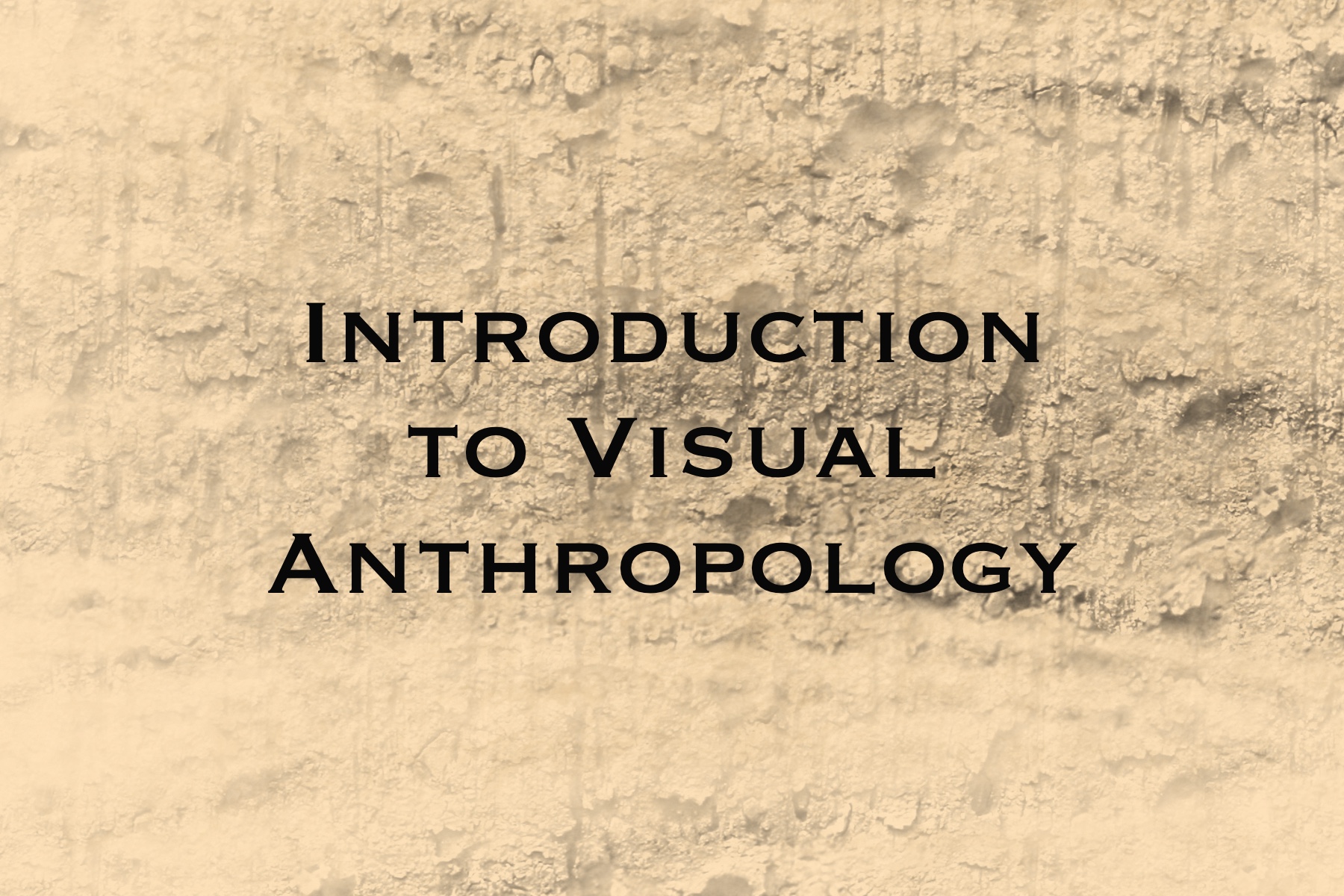 Undergraduate Courses – Visual Stories Lab